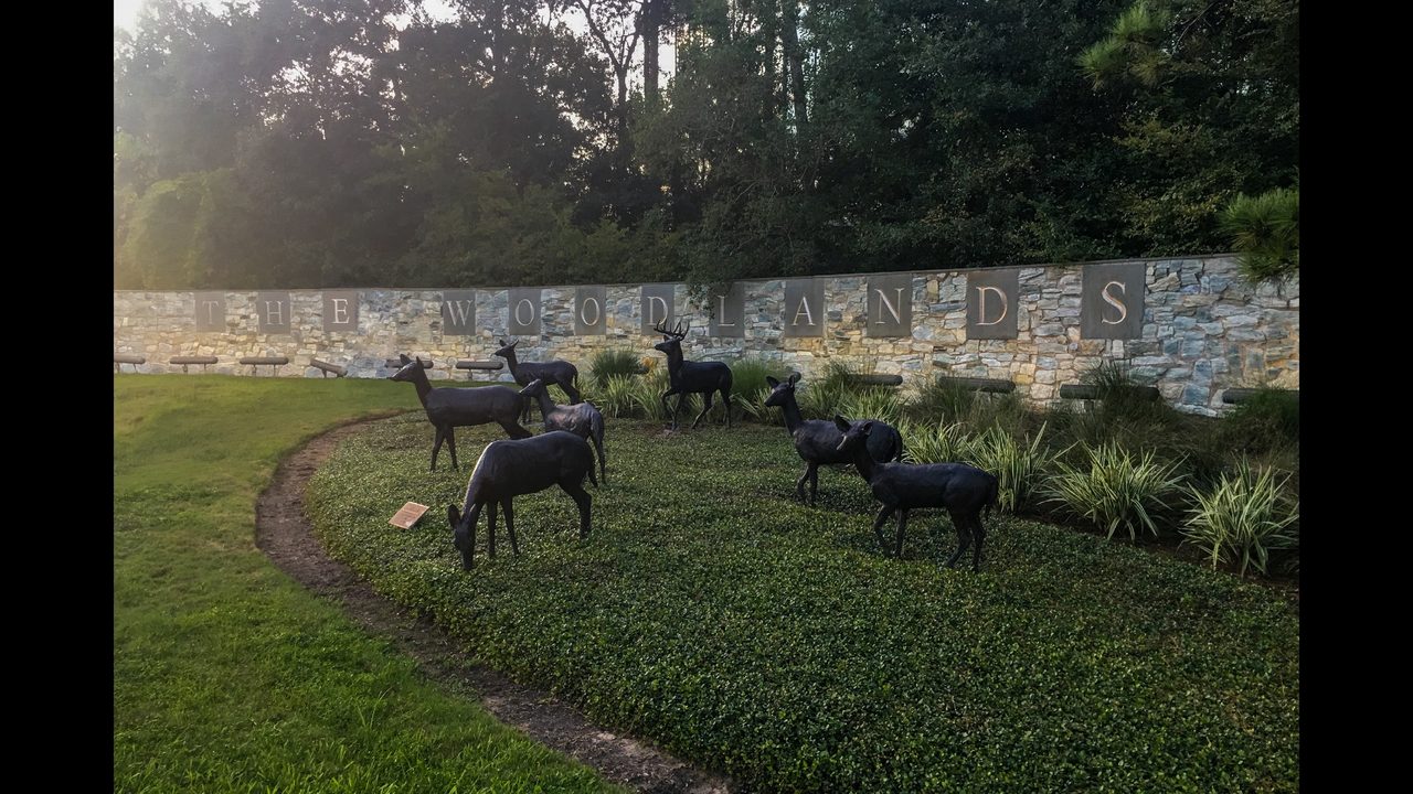 7 Things To Do In The Woodlands This Weekend 7-things-to-do-in-the-woodlands-this-weekend